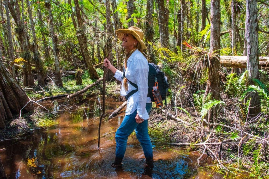 Walking Through The Muck In The Everglades National Park | DigiDame