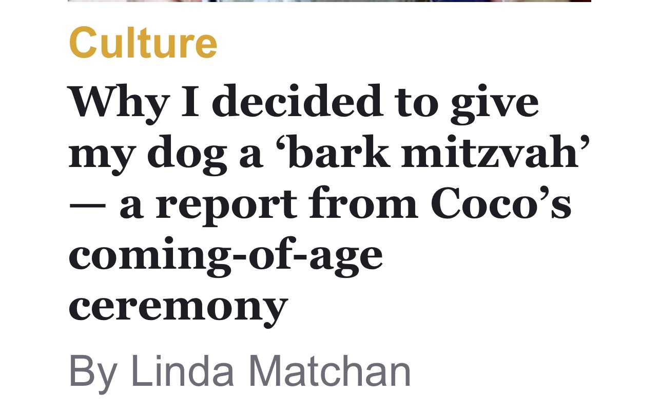 Anyone Who Has Ever Owned A Dog Will Understand—LWH | DigiDame